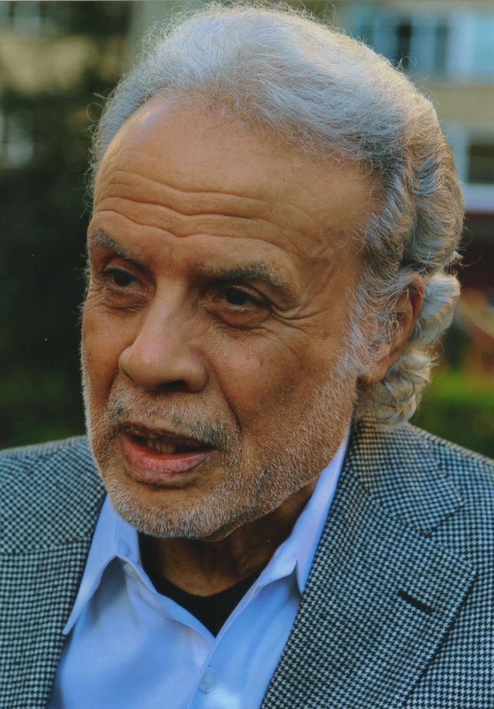 The Person of the Therapist: An Interview with Dr. Harry Aponte