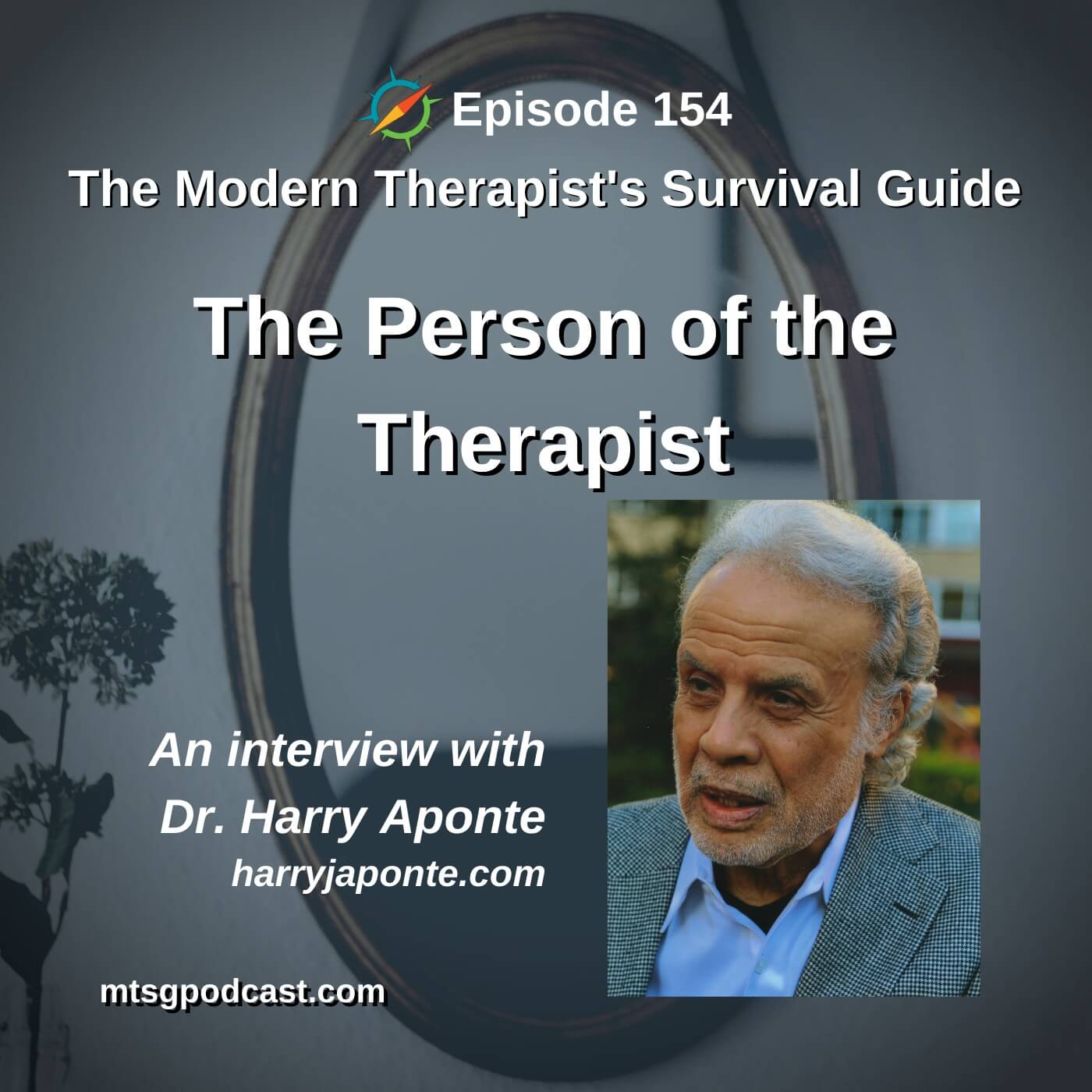 The Person of the Therapist: An Interview with Dr. Harry Aponte