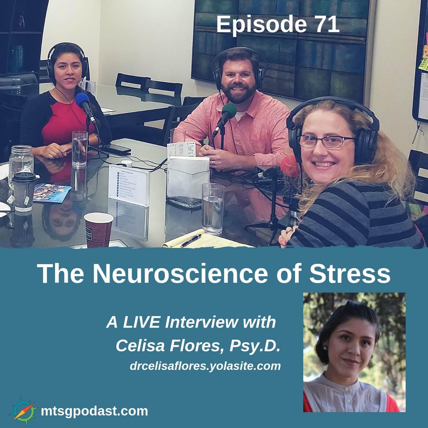 The Neuroscience of Stress - Therapy Reimagined