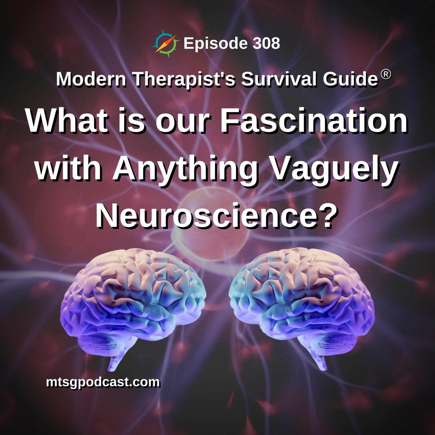 What is Our Fascination with Anything Vaguely Neuroscience?