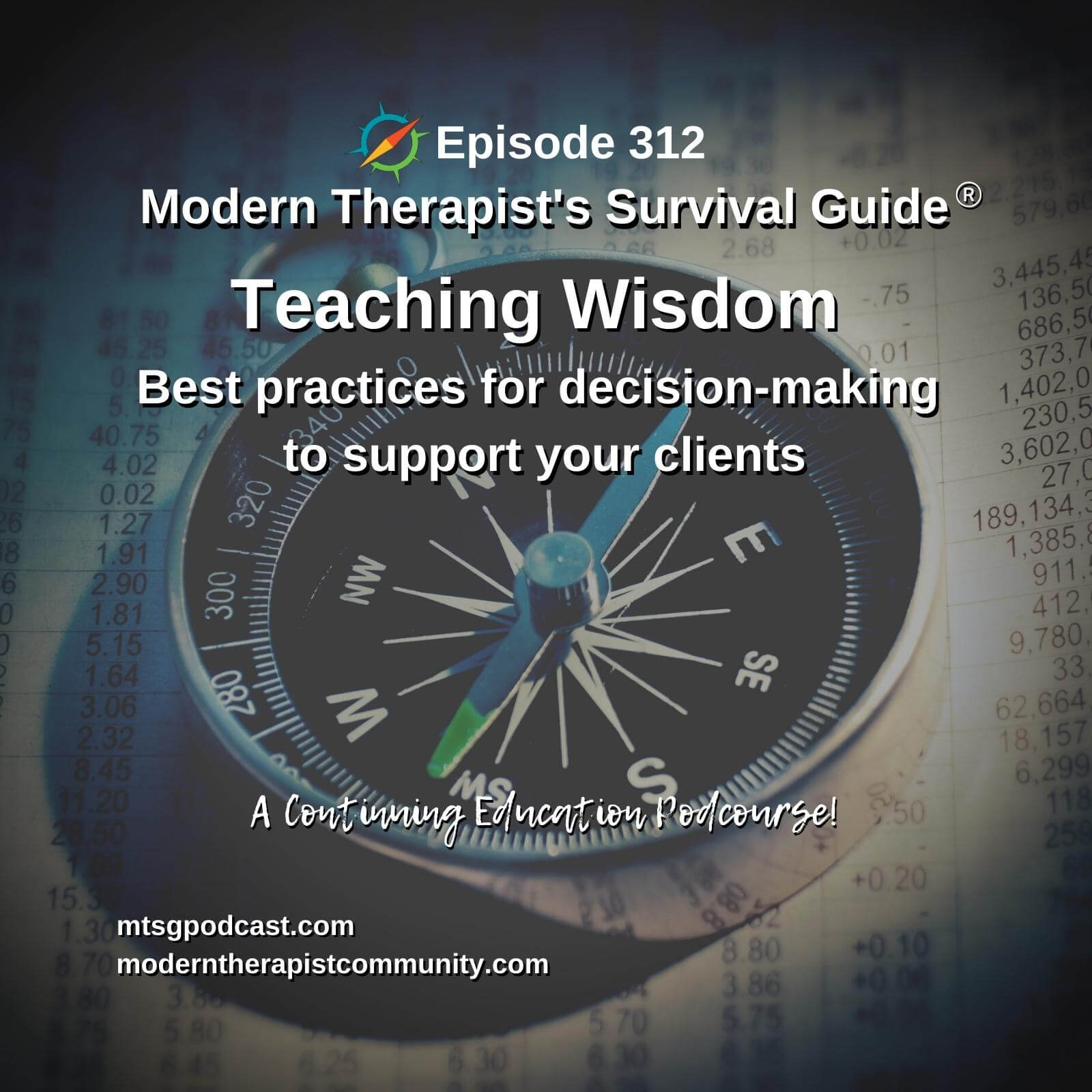 Teaching Wisdom: Best practices for decision-making to support your clients